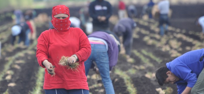 Episode 2 – Farm Labor in the Hudson Valley (58 mins.) | Human Rights ...